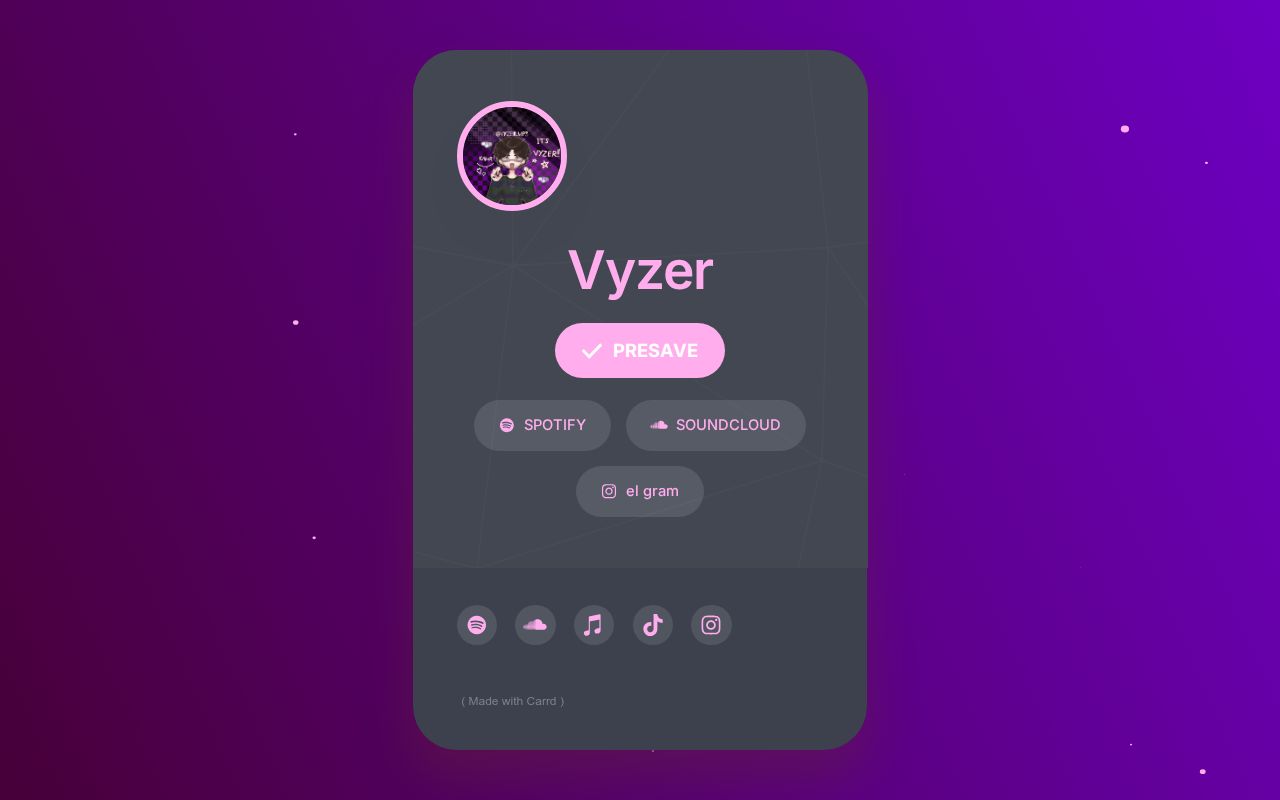 Vyzer